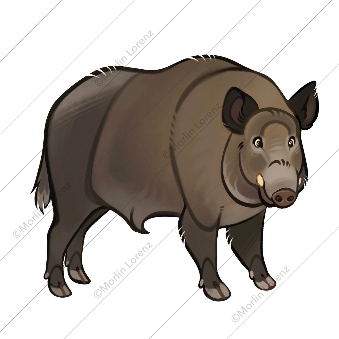 Wild Boar Herd - Boar - Boar - Graphic - Digital Download - Children's ...