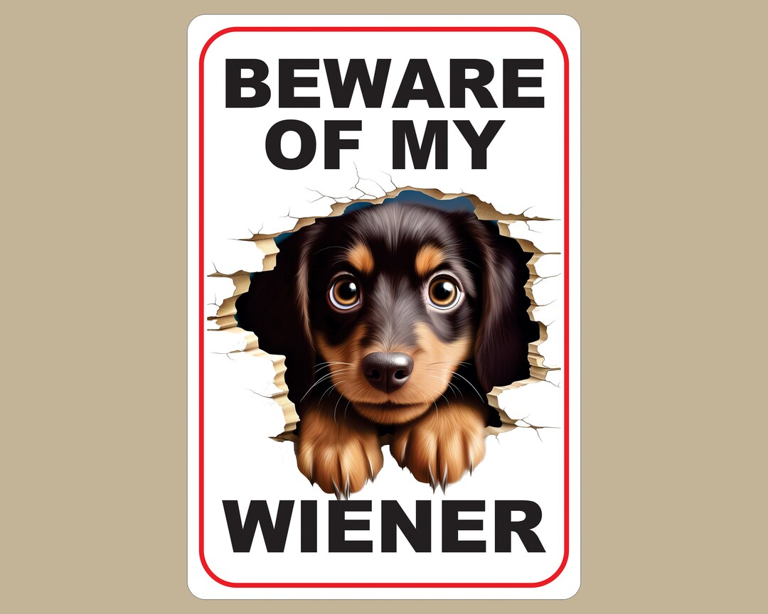 Beware of Wiener Dachshund Sign: Novelty Aluminum Wall Art (8x12) - Etsy