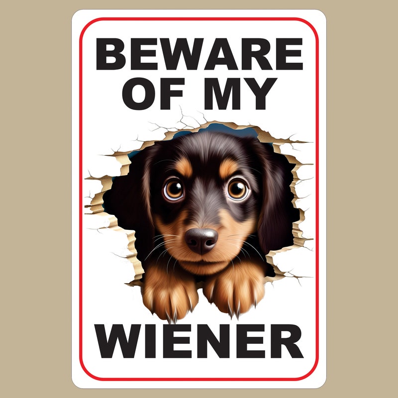 Weiner Dog Gifts - 60+ Gift Ideas for 2025