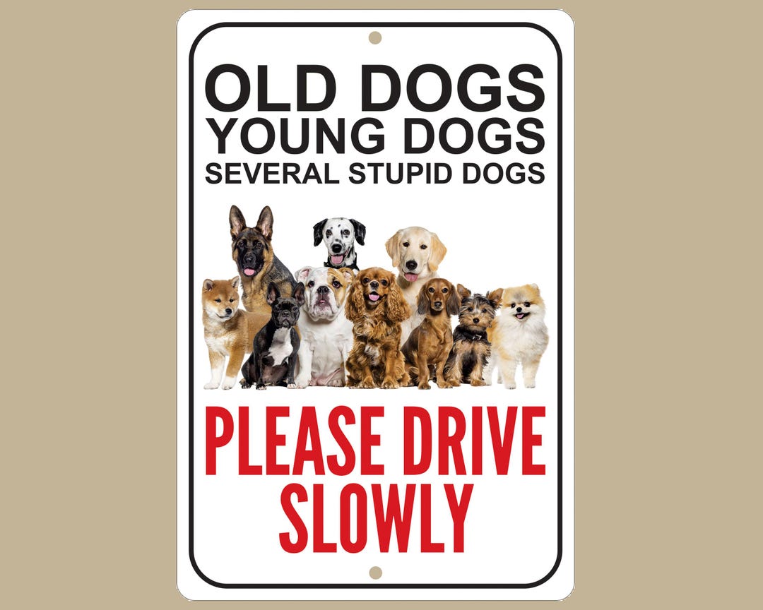 Please Drive Slowly Dog Sign, Road Street Pet Safety Sign, Outdoor Pet ...