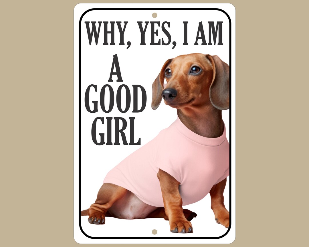 Personalized Dachshund Sign: Good Girl in Pink, Funny Dog Lover Gift - Etsy