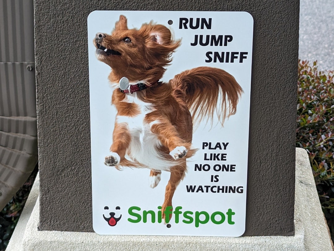 Sniffspot Aluminum Sign, Play Like No One is Watching, Private Dog Park ...