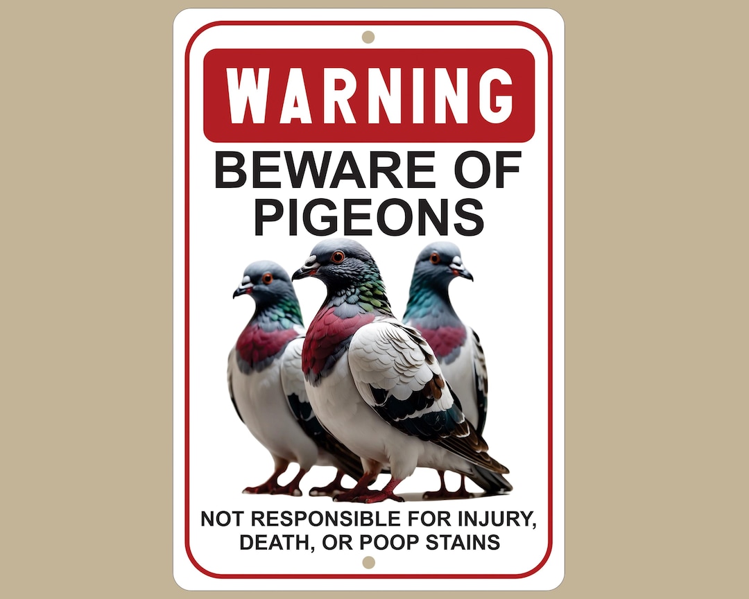 Beware of Pigeons Sign: Novelty Aluminum Outdoor Decor (8x12) - Etsy