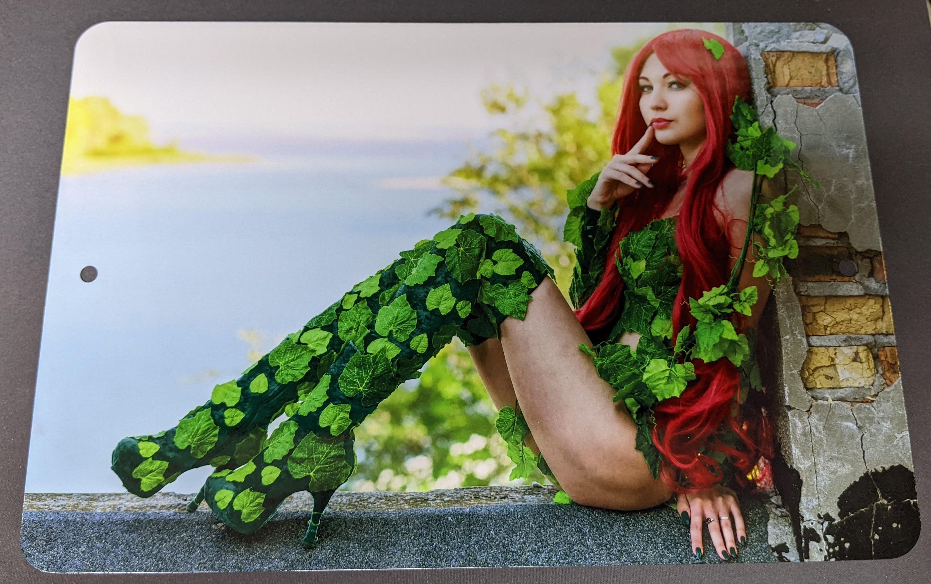 Sexy Redhead Poison Ivy Cosplaybatman Villianmetal Poster Etsy