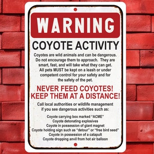 Coyote - Etsy