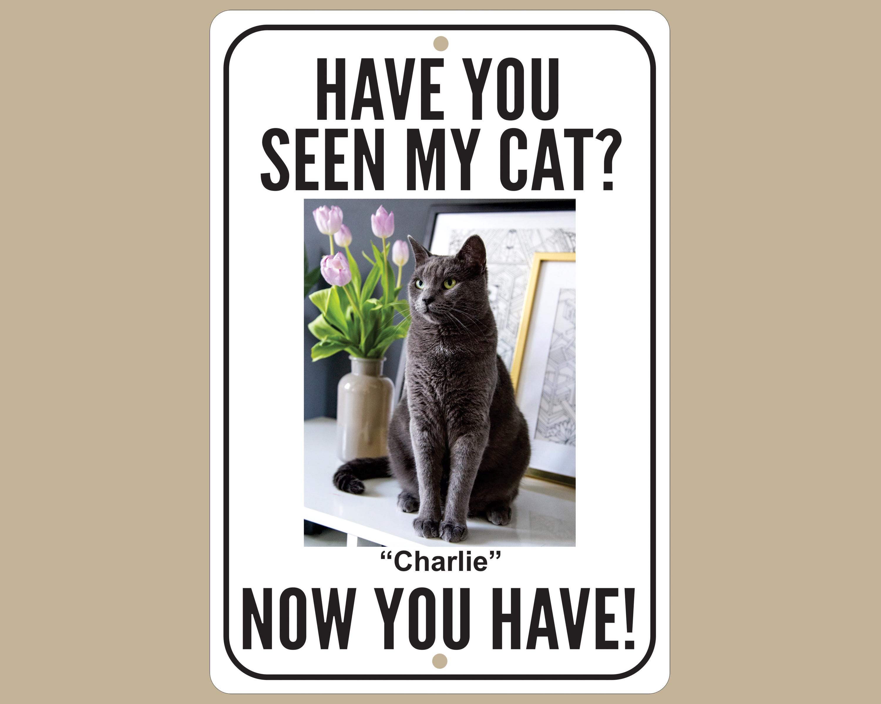 Custom 'have You Seen My Cat?' Metal Sign: Personalized Cat Lover Gift ...