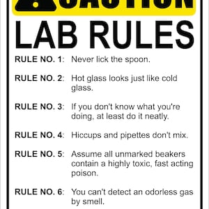 Laboratory Rules Sign, Science Classroom Decor, High School College Lab ...