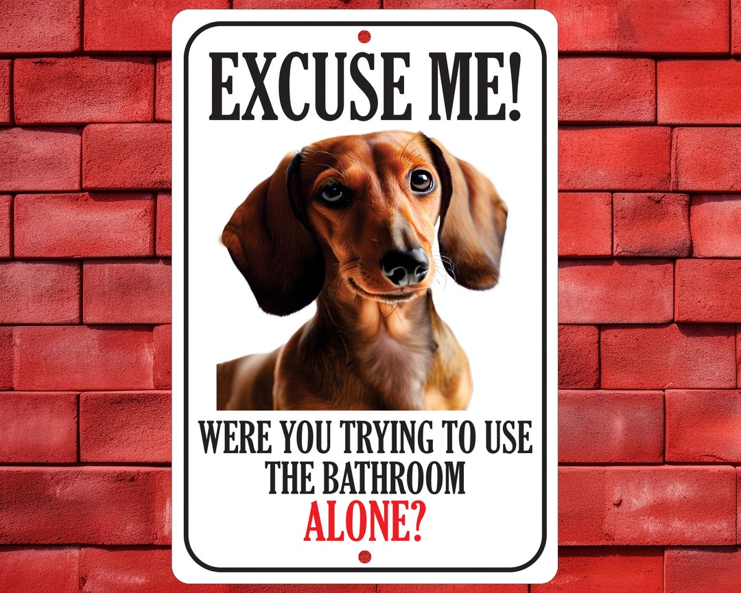 Cute Dachshund Sign, Using Bathroom Alone Sign, Funny Dog Lover Gift ...
