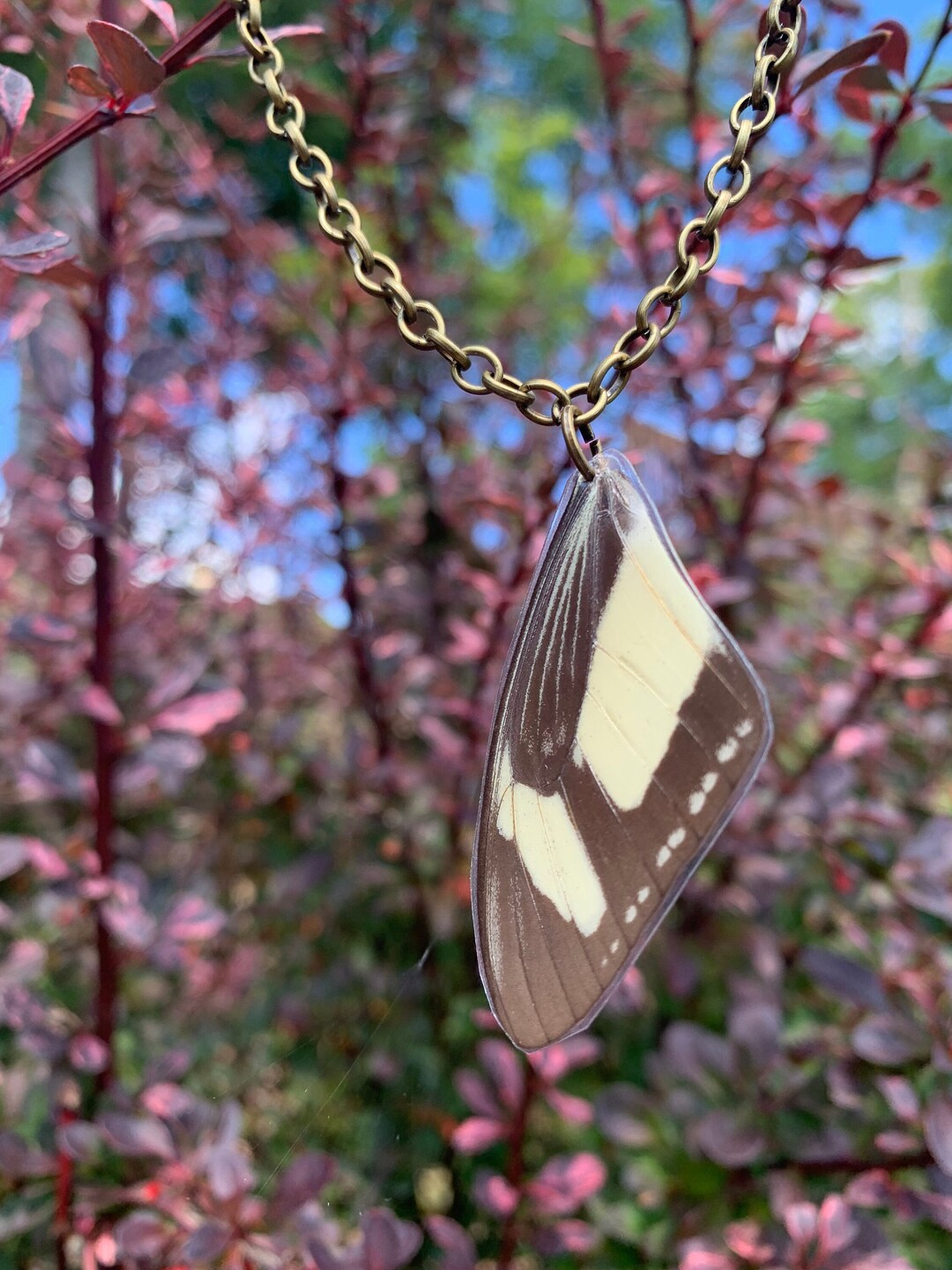 Real Butterfly Wing Necklace - Etsy