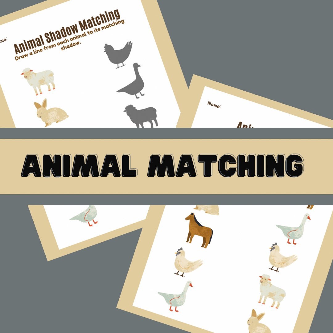 Animal Matching Bundle - Etsy