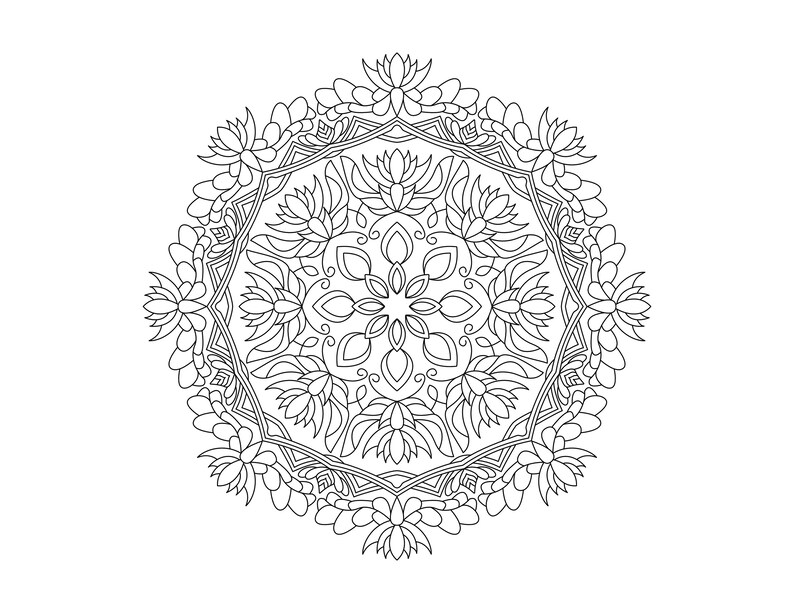 Floral Mandela Coloring Pages Starter Bundle Version 1 - Etsy
