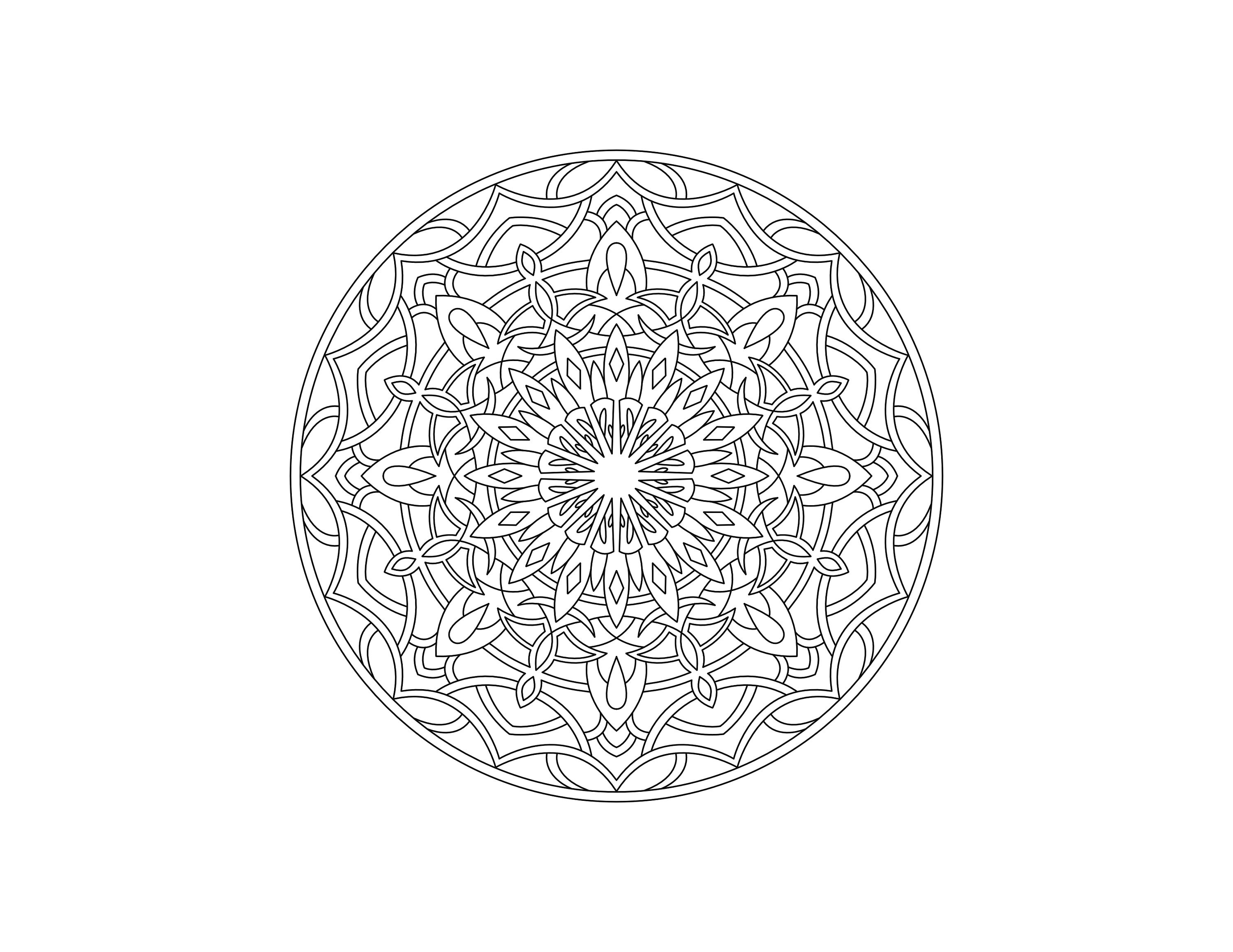 Floral Mandela Coloring Pages Starter Bundle Version 2 - Etsy