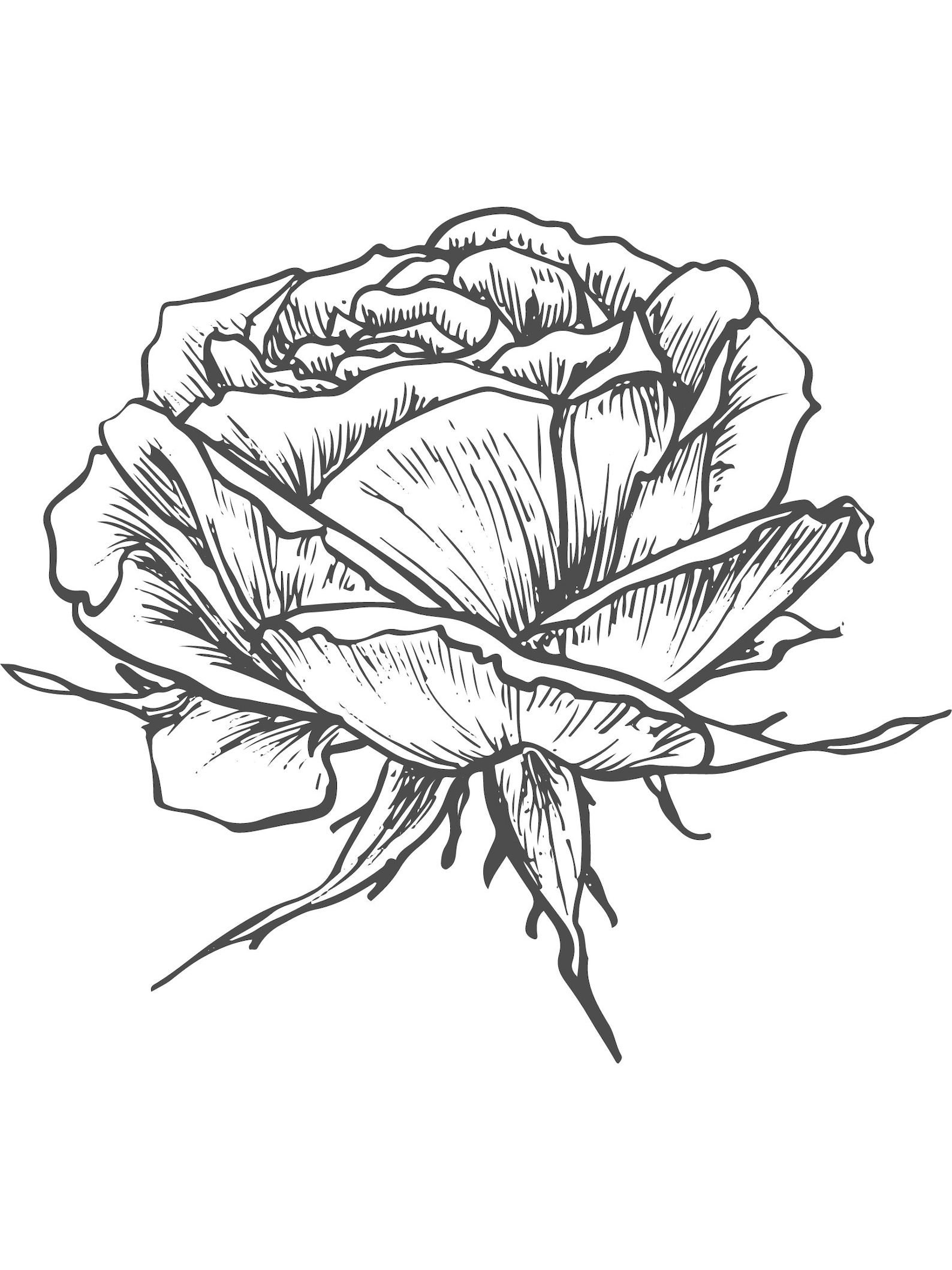 50 Floral Adult Coloring Pages Etsy