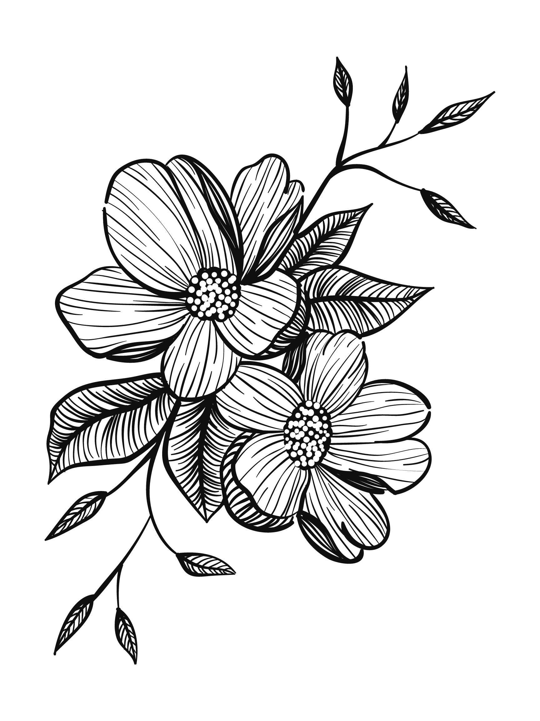 50 Floral Adult Coloring Pages Etsy