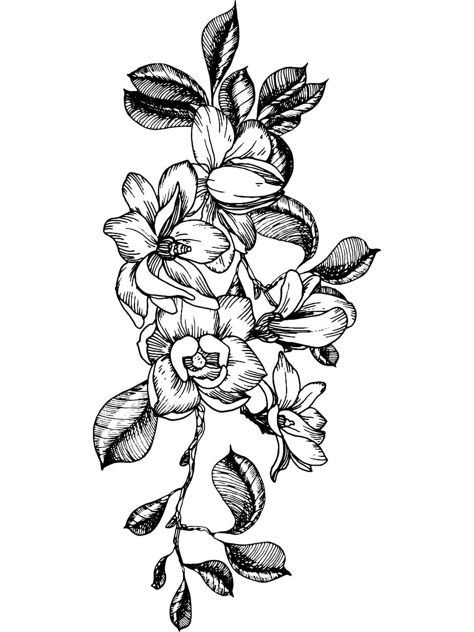 50 Floral Adult Coloring Pages Etsy