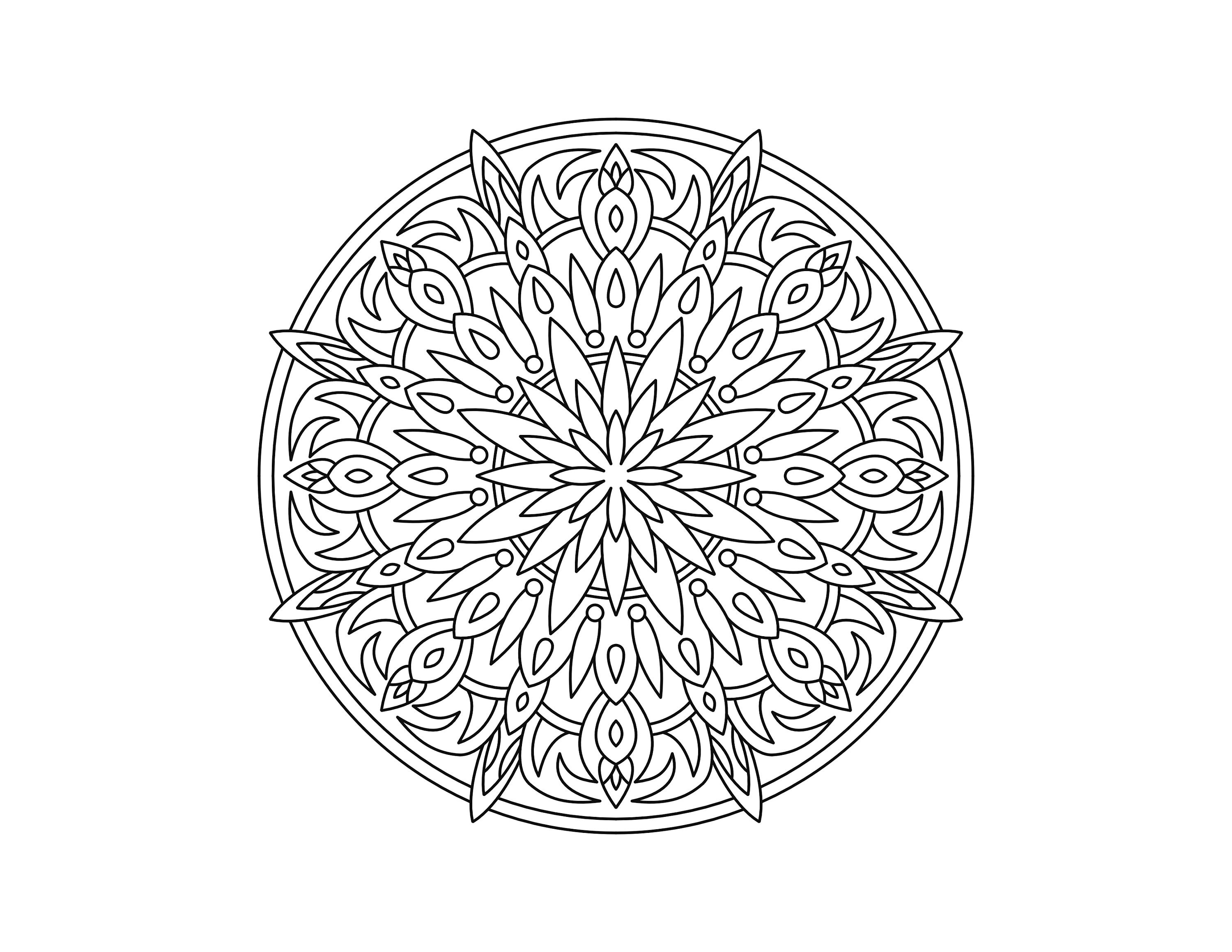 Floral Mandela Coloring Pages Starter Bundle Version 2 - Etsy