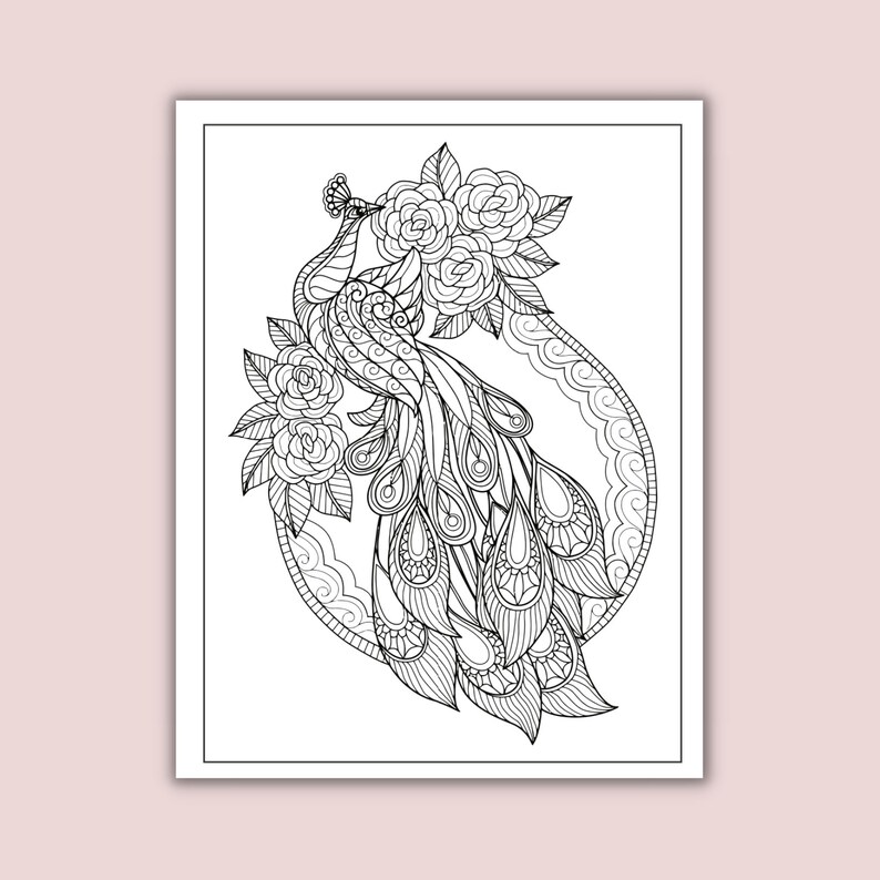 12000 Giant Coloring Page Bundle Mandalas Animals - Etsy