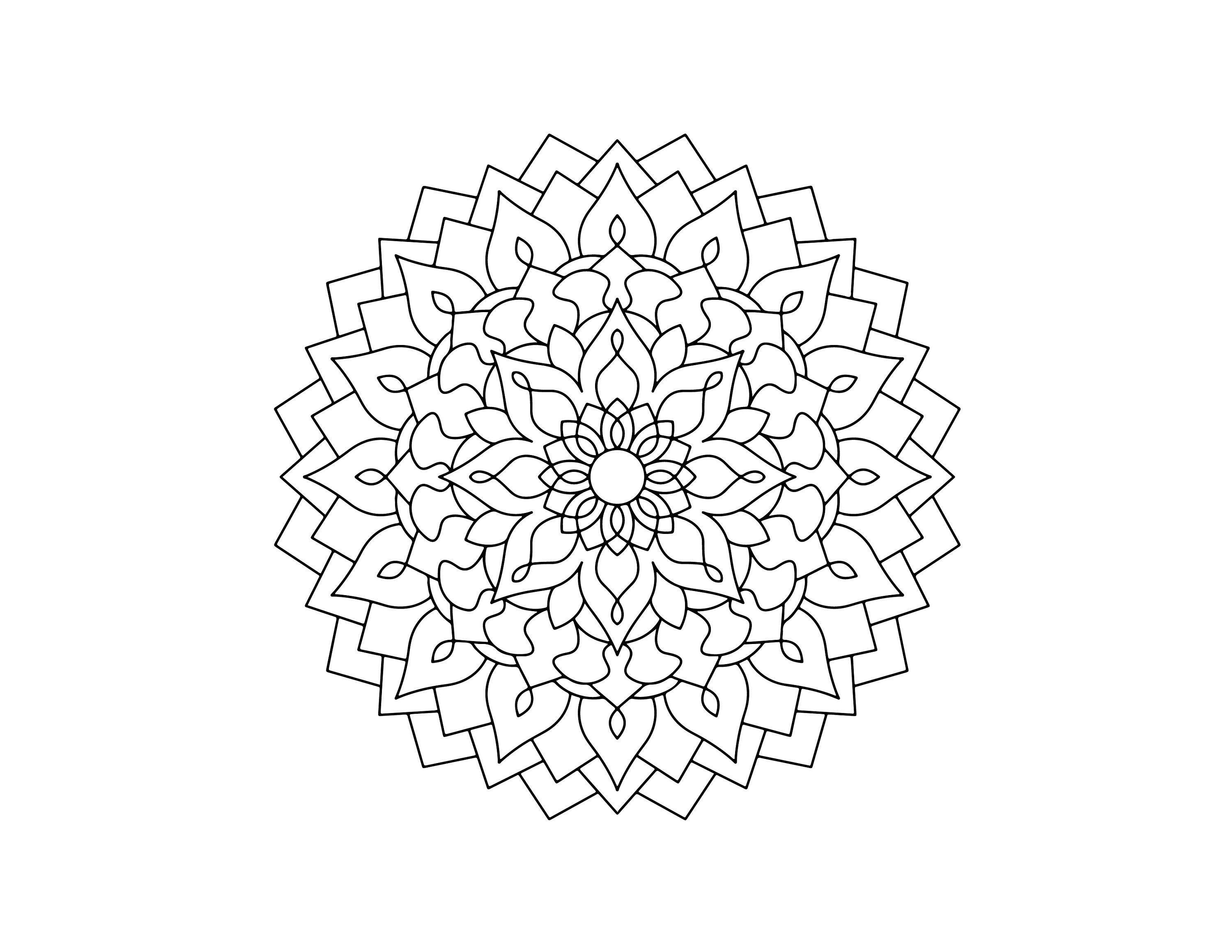 Floral Mandela Coloring Pages Starter Bundle Version 2 - Etsy