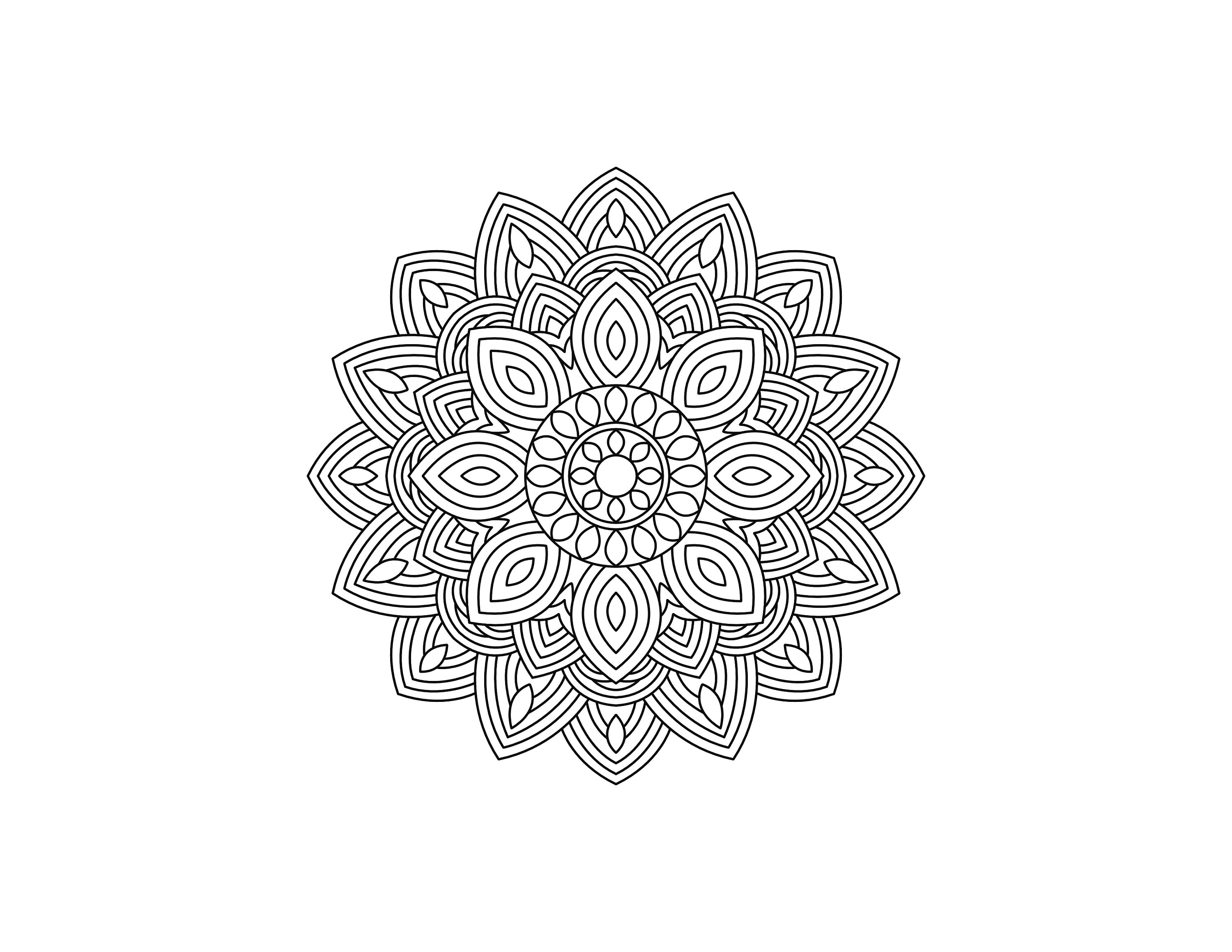 Floral Mandela Coloring Pages Starter Bundle Version 2 - Etsy