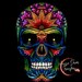 Mandala Skull Not Your Average Poster Print - Etsy