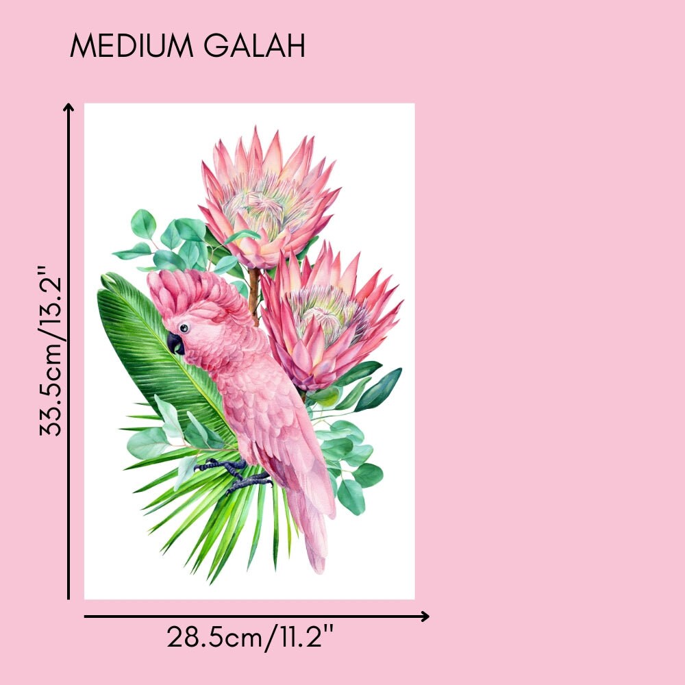 Pink Galah Rub on Transfer Furniture & Craft Decals - Etsy Australia