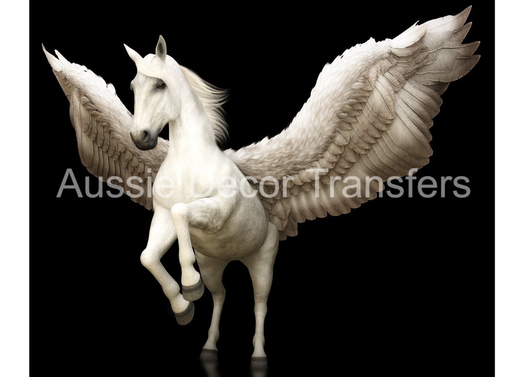 Pegasus Not Your Average Poster Print AUS Only - Etsy