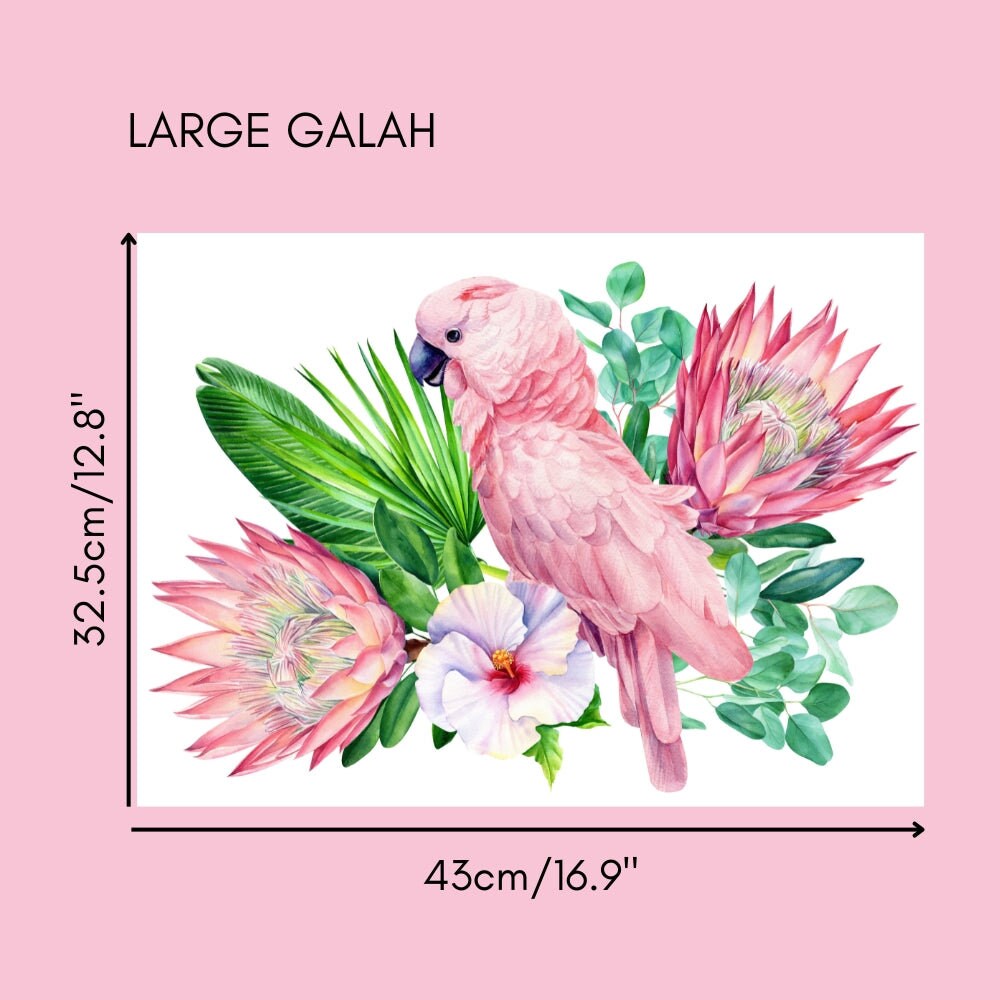 Pink Galah Rub on Transfer Furniture & Craft Decals - Etsy Australia