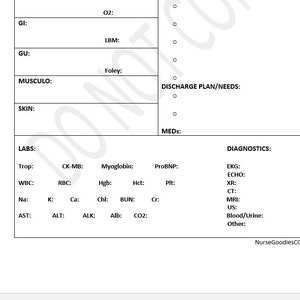 Best Nurse Report Sheet, New Grad Nurse Friendly, Report Template - Etsy