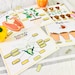MEGA Bundle Plant Study, Plant Life Cycle, Parts of a Plant, Parts of a ...