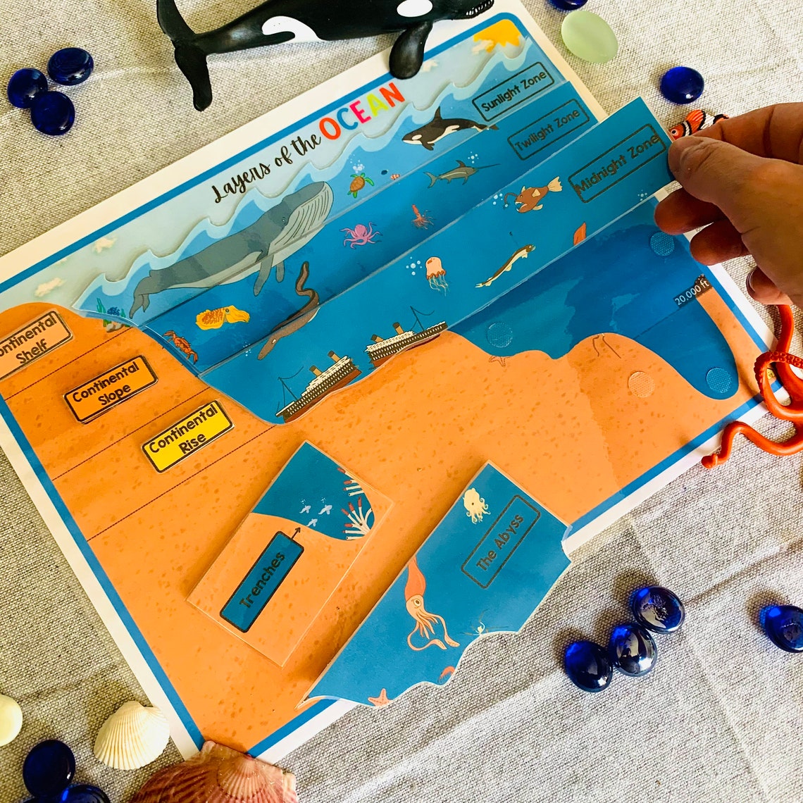 Ocean Layers Printable, Ocean Zones, Pelagic Zones, Learn About the ...