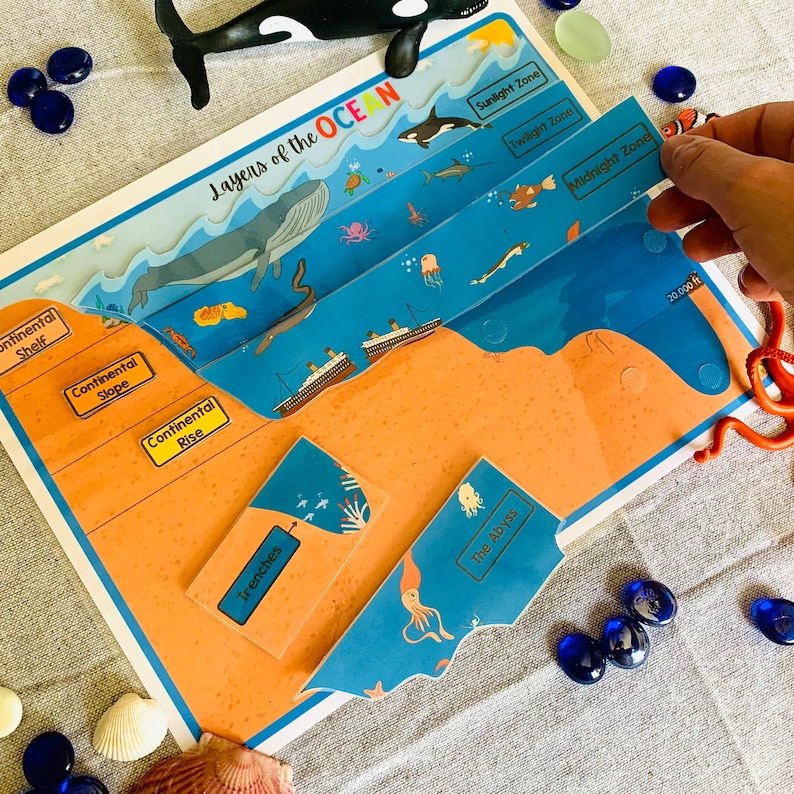 Ocean Layers Printable, Ocean Zones, Pelagic Zones, Learn About the ...