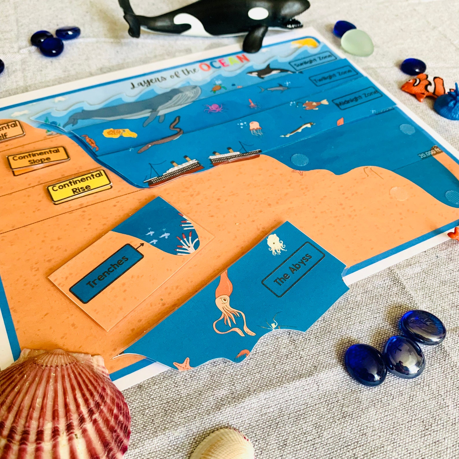 Ocean Layers Printable, Ocean Zones, Pelagic Zones, Learn About the ...