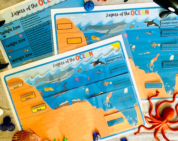 A2 Ocean Zones Poster - Etsy Australia