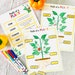 Parts of a Plant Bundle Printable, Parts of a Flower, Fruit Anatomy ...