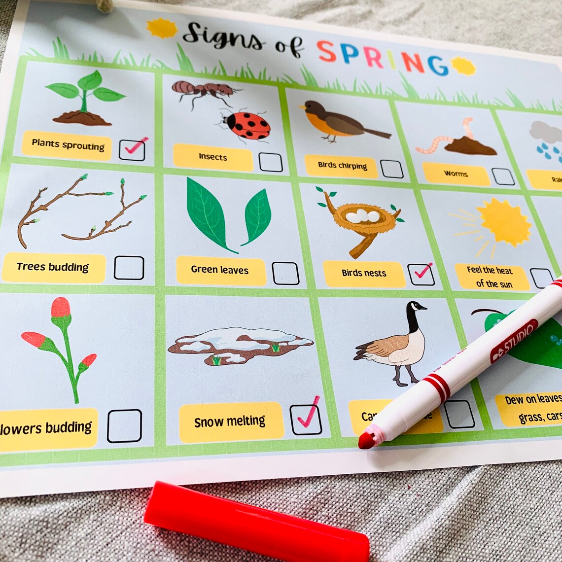 Signs of Spring Scavenger Hunt Activity Printable, Spring Scavenger ...