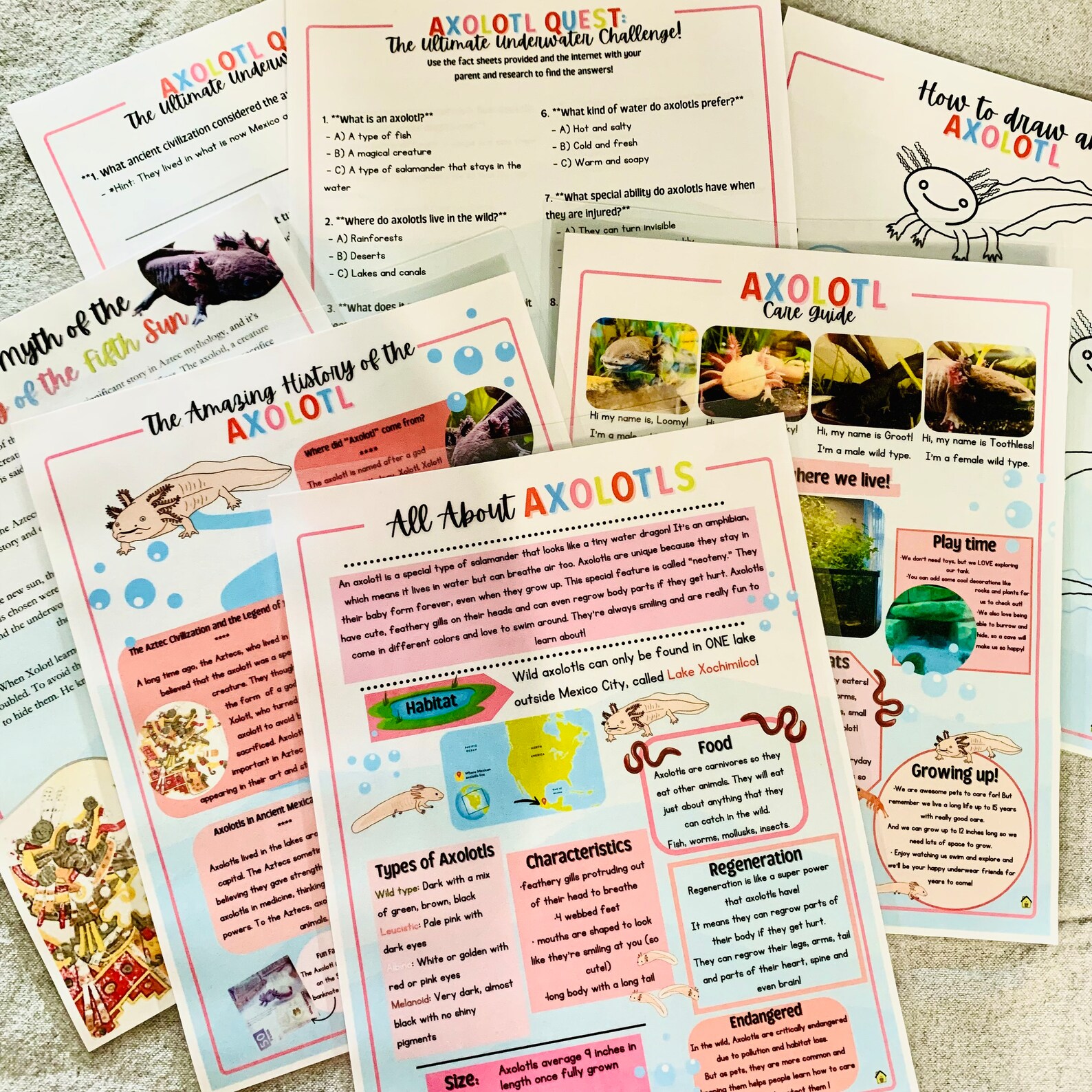 Life Cycle of an Axolotl, Axolotl Unit Study, Axolotl Anatomy, Axolotl ...