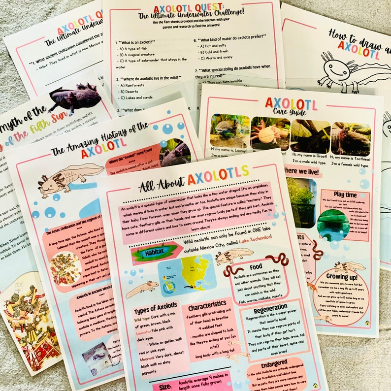 Life Cycle of an Axolotl, Axolotl Unit Study, Axolotl Anatomy, Axolotl ...