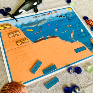 Ocean Layers Printable, Ocean Zones, Pelagic Zones, Learn About the ...