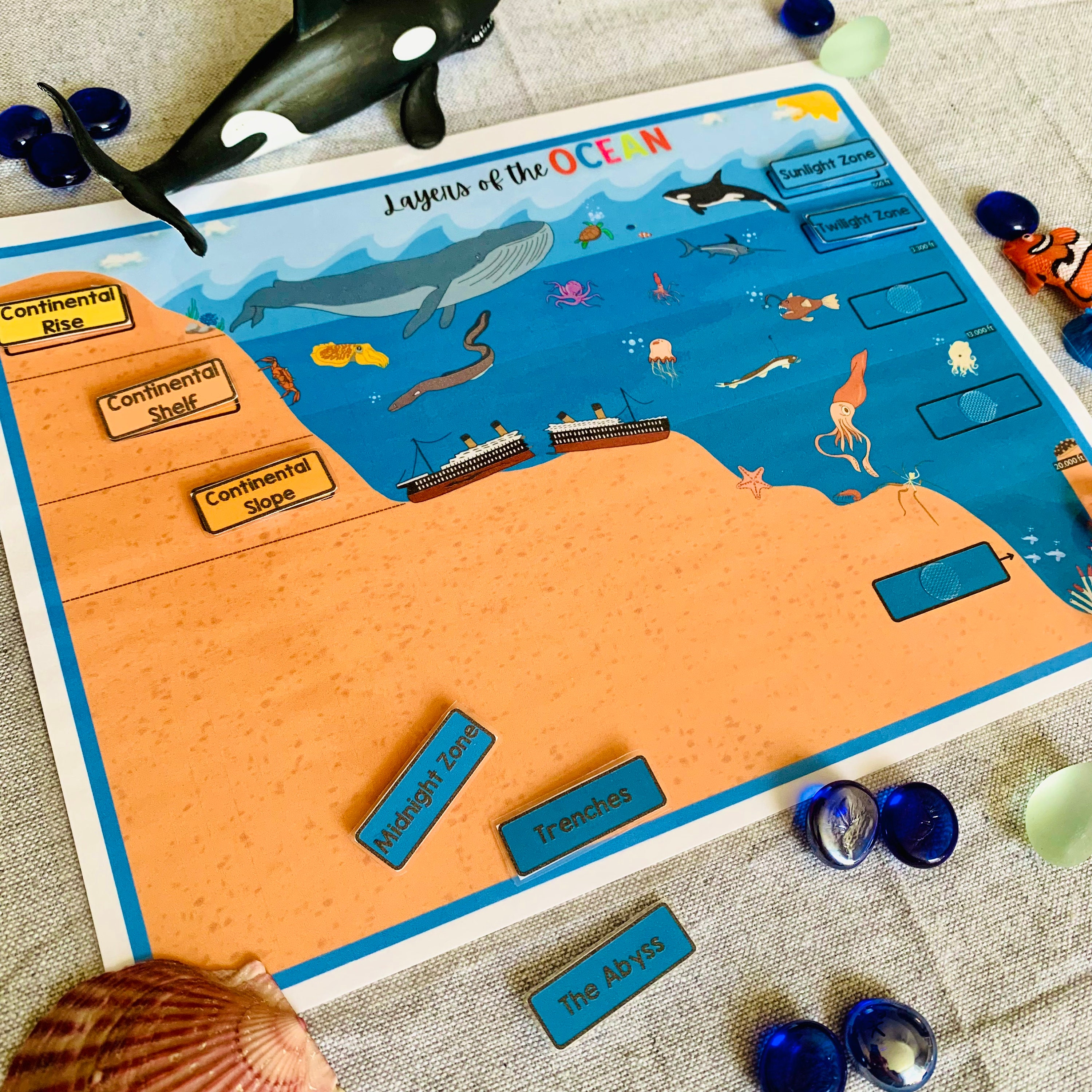 Ocean Layers Printable, Ocean Zones, Pelagic Zones, Learn About the ...