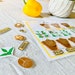 MEGA Bundle Plant Study, Plant Life Cycle, Parts of a Plant, Parts of a ...