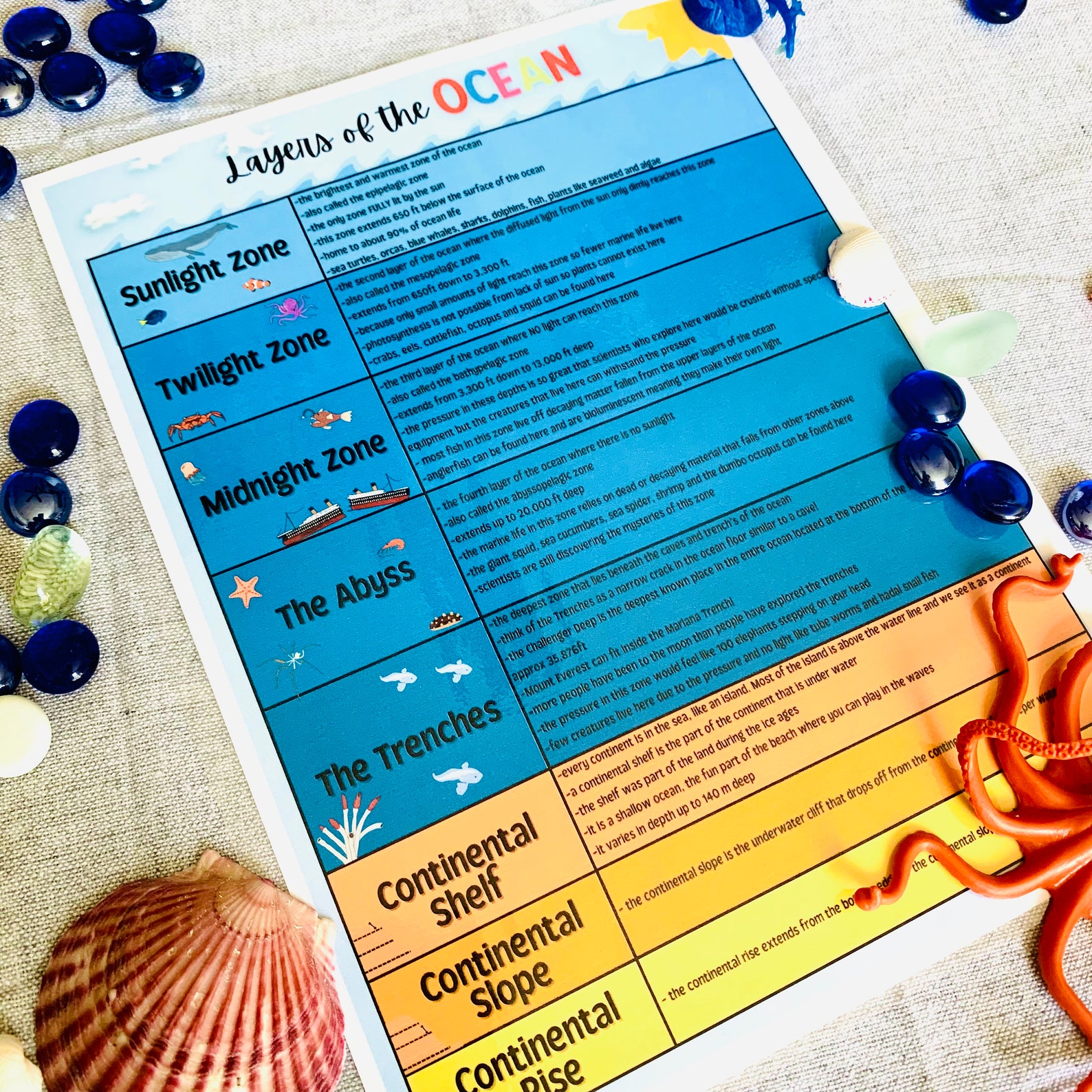 Ocean Layers Printable, Ocean Zones, Pelagic Zones, Learn About the ...