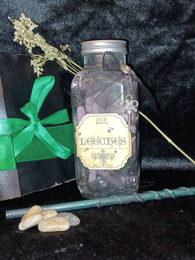 Leeches Harry Potter Inspired Potion Ingredient Prop - Etsy