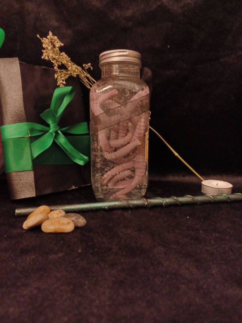 Leeches Harry Potter Inspired Potion Ingredient Prop - Etsy