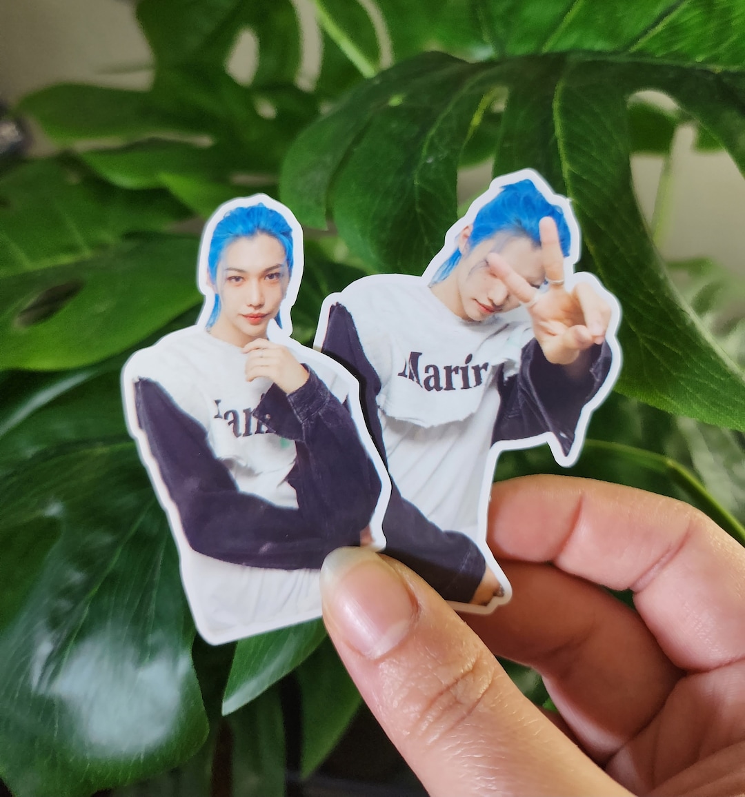 Skz Stray Kids Felix Stickers Kpop Stickers - Etsy