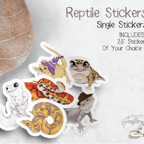 Reptile Stickers - Etsy