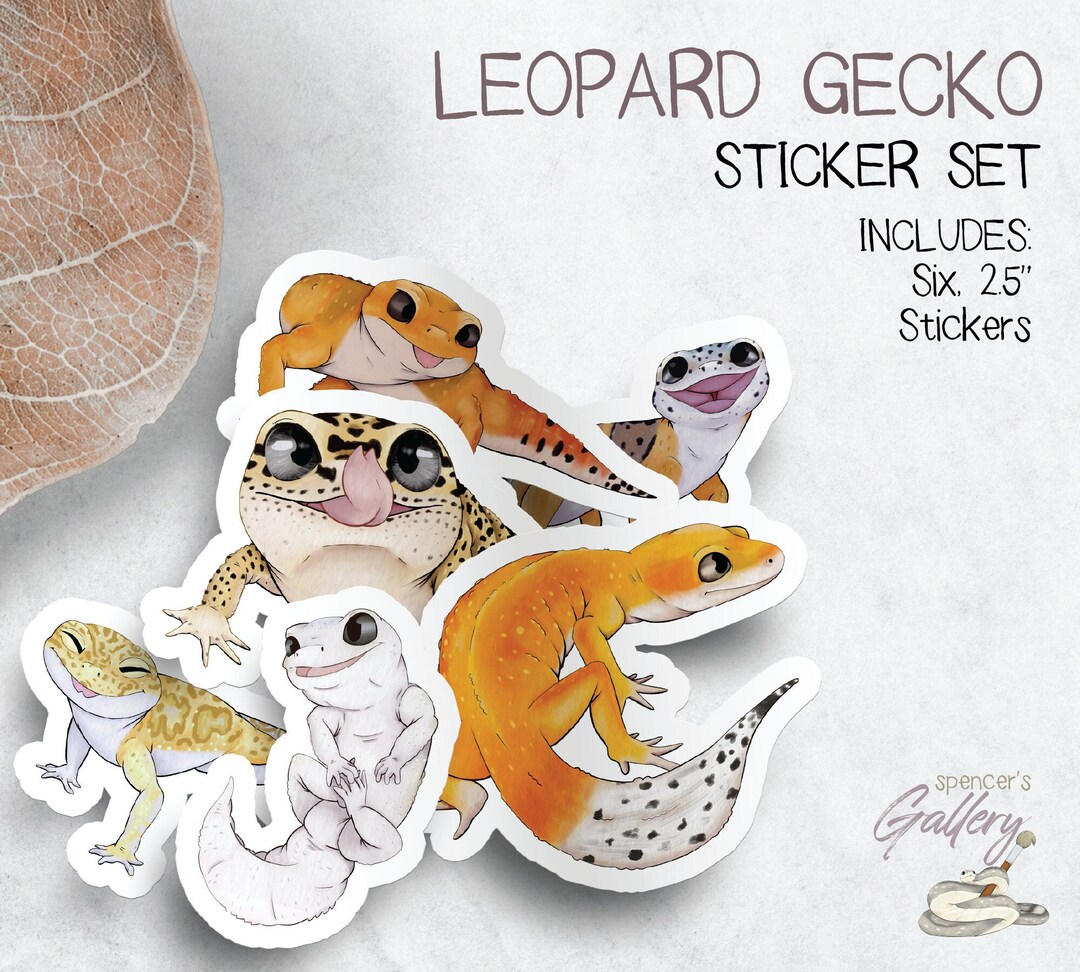 Leopard Gecko Reptile Sticker Set of Six - Etsy