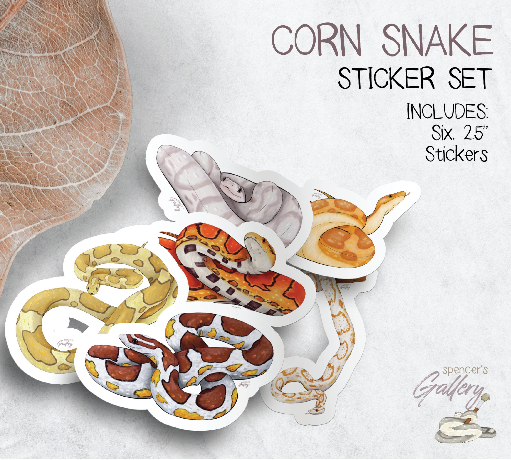 Corn Snake Reptile Sticker Set of Six - Etsy