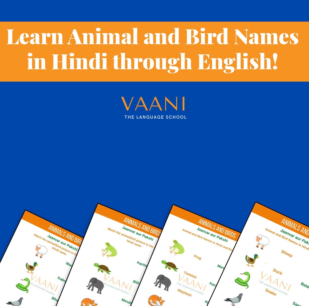 Hindi Printable Animals and Birds Worksheet - Learn Hindi Animal and ...