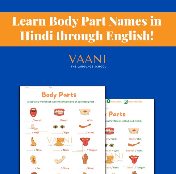 Hindi Printable Body Parts Worksheet Learn Hindi Body Part | Etsy