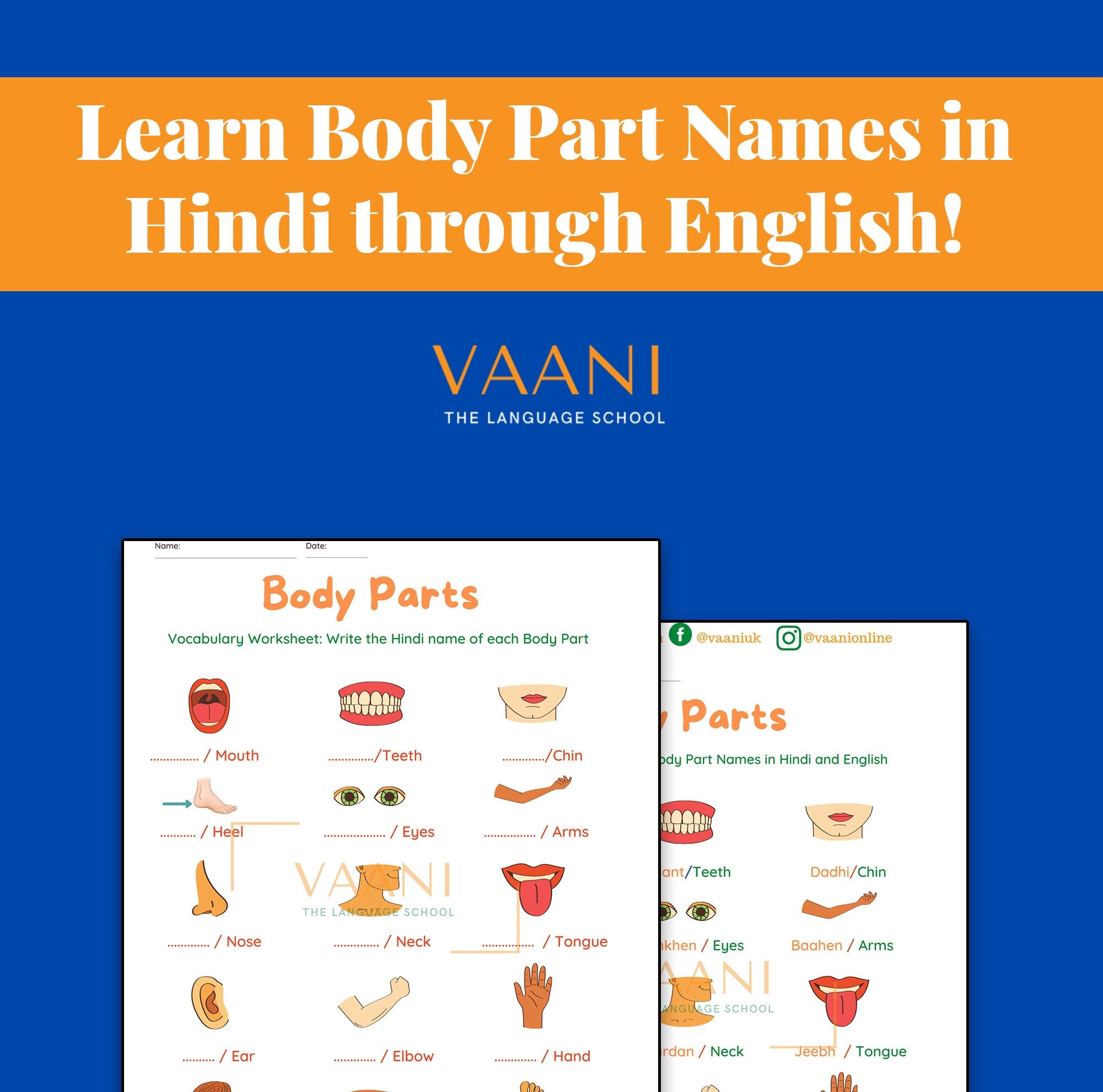 Body Parts Name In English To Hindi